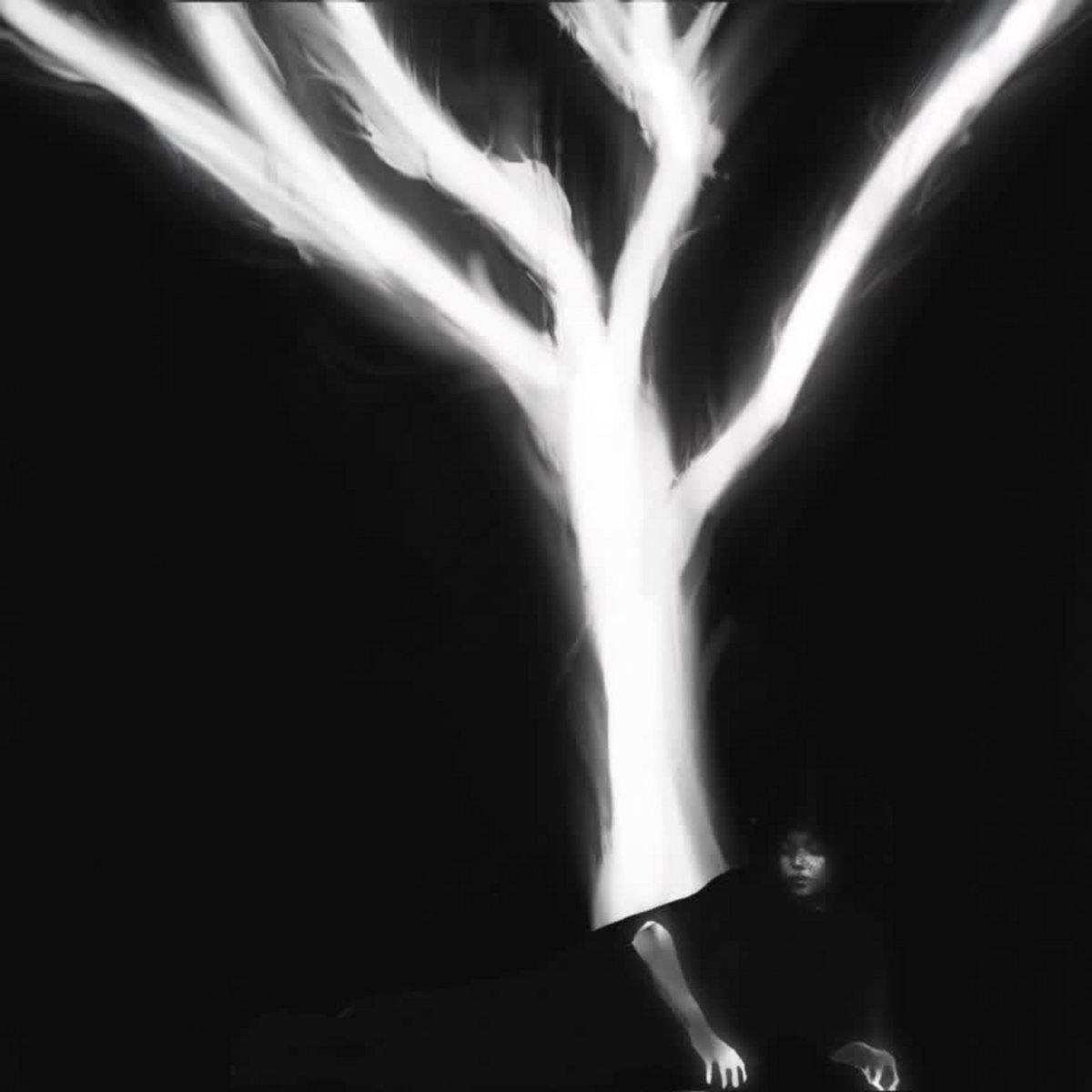 THE SOUND THAT TREES MAKE | KJADE