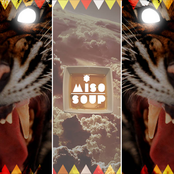 Hari Kari Presents: Miso Soup | Various Artists | Hari Kari