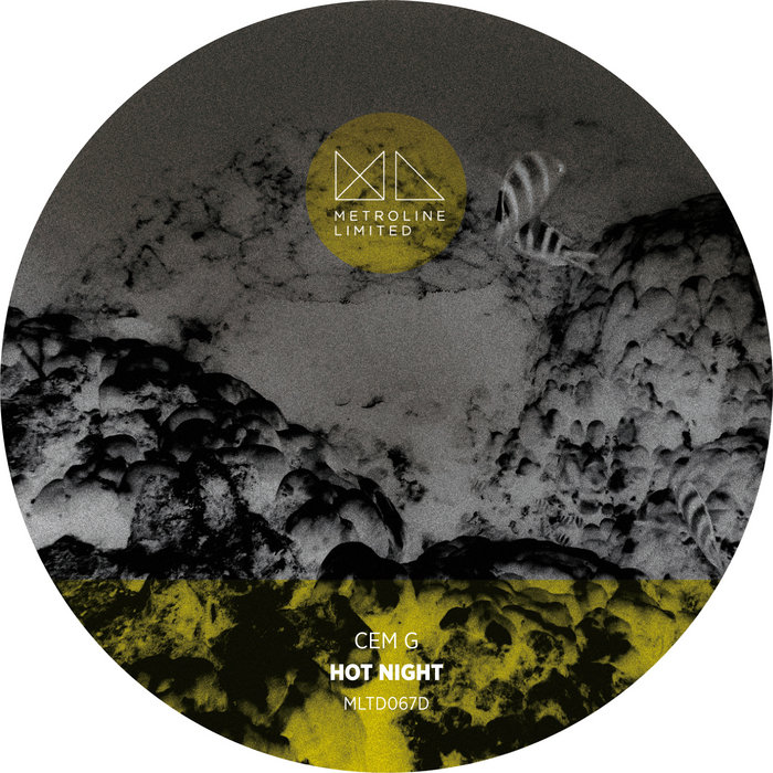 Hot Night | Cem G | Metroline Limited