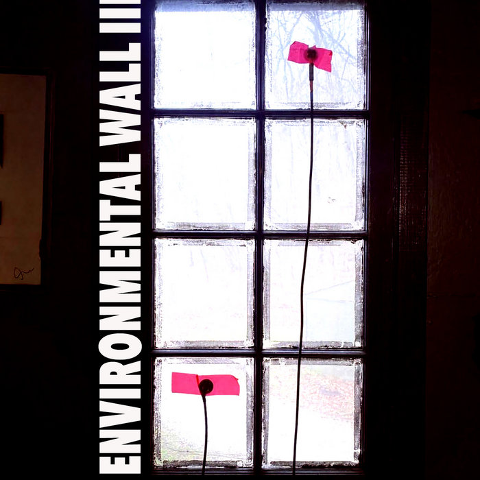 Environmental Wall III | Sean E. Matzus | The White Visitation