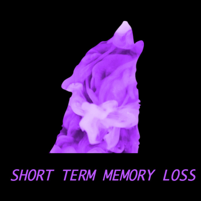 Short Term Memory Loss Short Term Memory Loss
