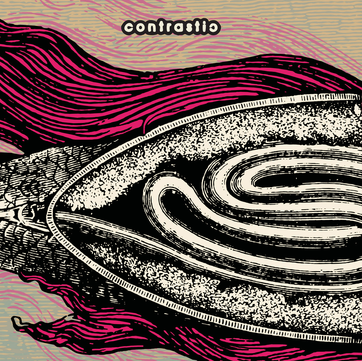 Contrastic (Reissue) | Contrastic | Hibernation Release