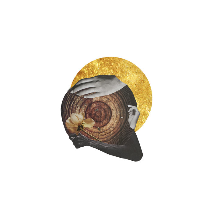 SK-1 | The Vernon Spring