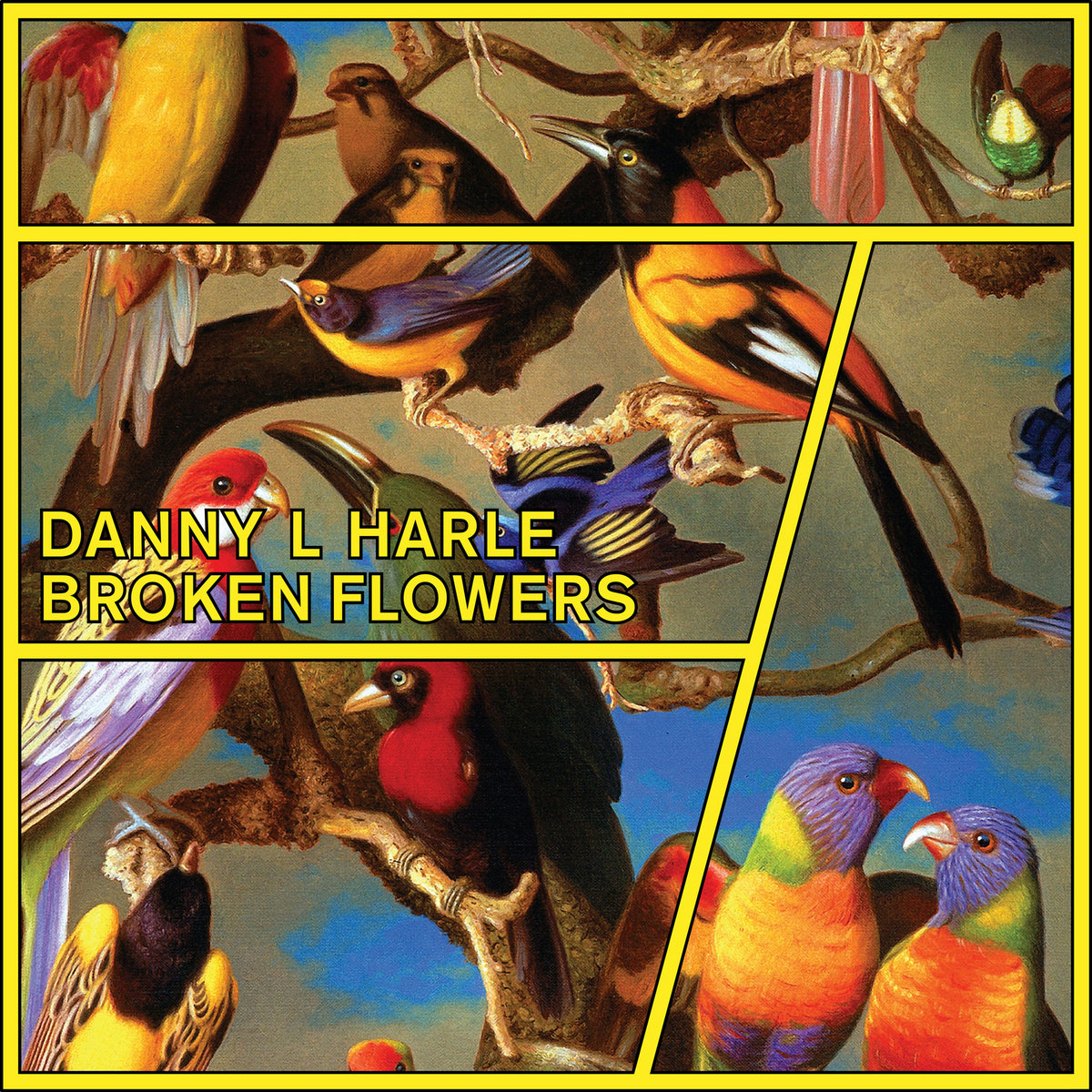 Broken Flowers | Danny L Harle