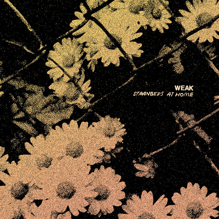 Strangers At Home | WEAK