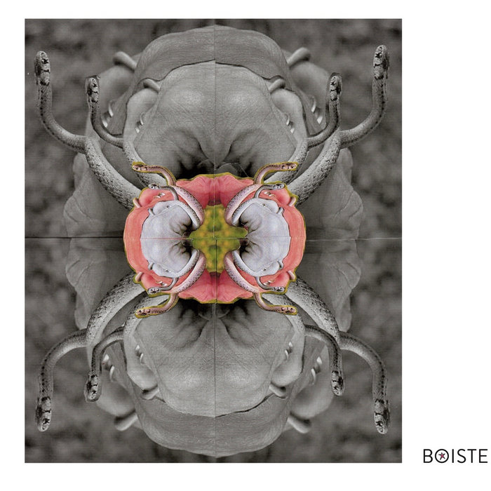 Goddess of The Baltimore in Your Mind | Boister