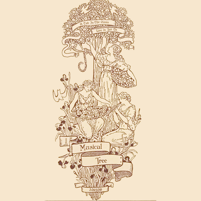 A Tab in the Ocean: Live in Jao Da | Musical Tree