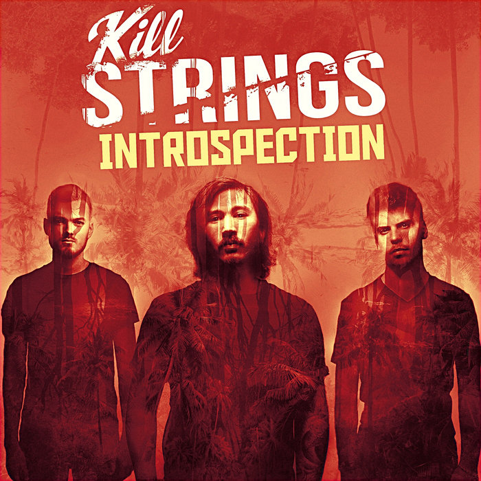 Introspection | Kill Strings