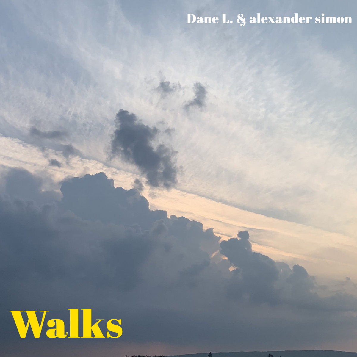 Walks | alexander simon & Dane L. | alexander simon