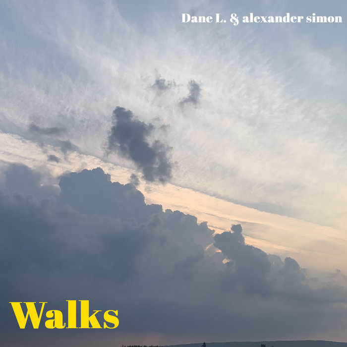 Walks | alexander simon & Dane L. | alexander simon