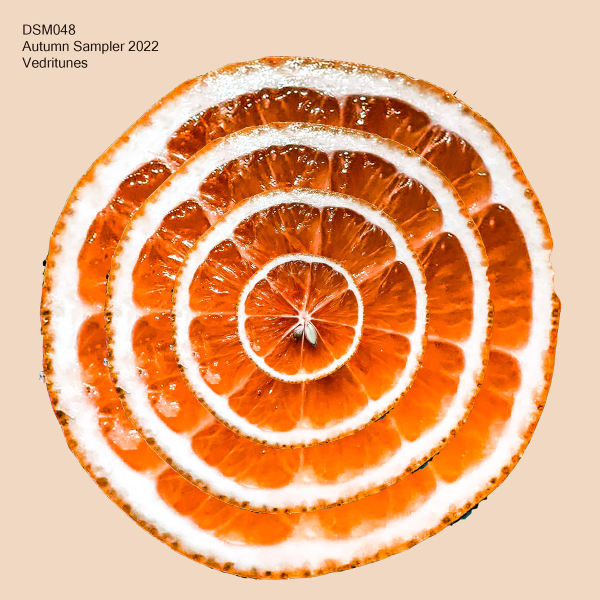 Autumn Sampler 2022 | Vedritunes | Delta Swamp Music