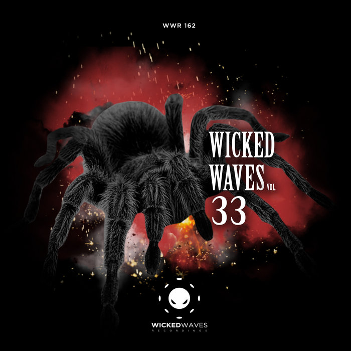 Wicked Waves Vol. 33 [Wicked Waves Recordings] | Various Artists ...