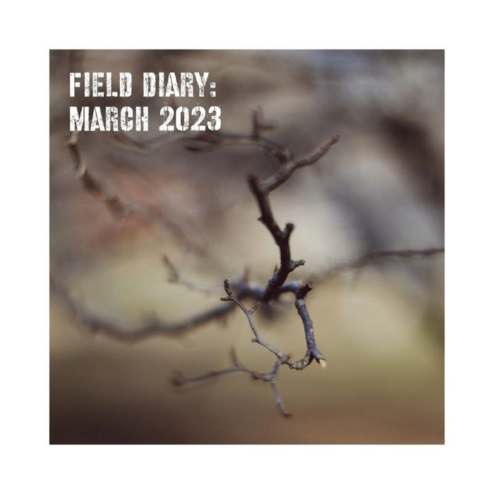 Field diary: March 2023 | various artists | brokentaperecords