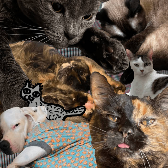 dkfm's collection | Bandcamp