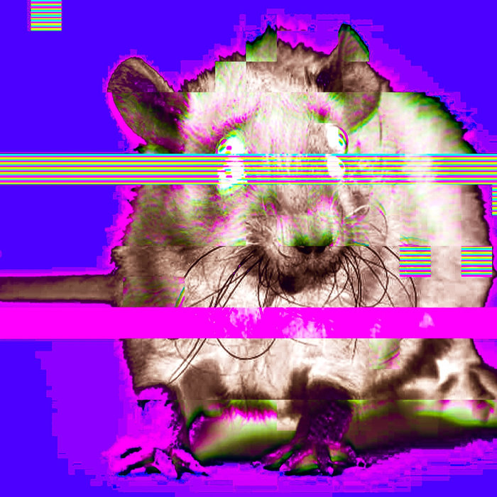 Juul Room | Spidget Finner | short stack records