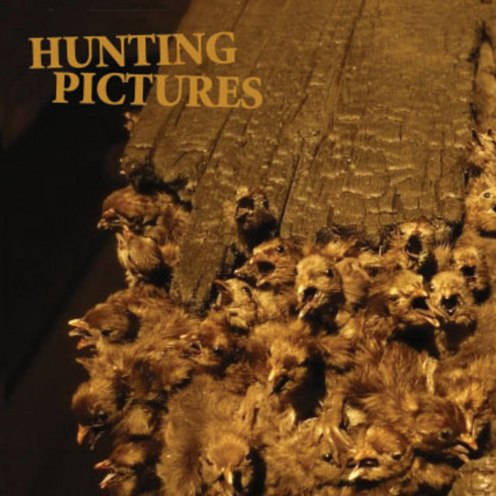 Hunting Pictures | Hunting Pictures