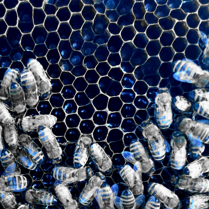 Superposition | Nathan Yell