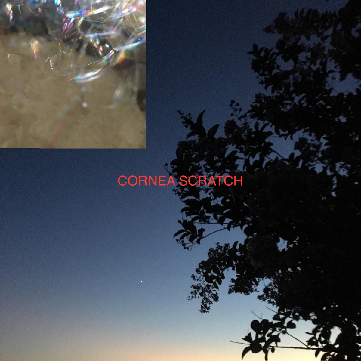 CORNEA SCRATCH | CORNEA SCRATCH | The Scott Dunning Extravaganza