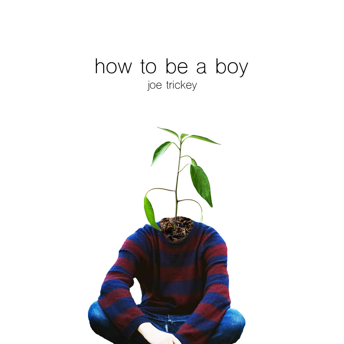 how to be a boy | Joe Trickey