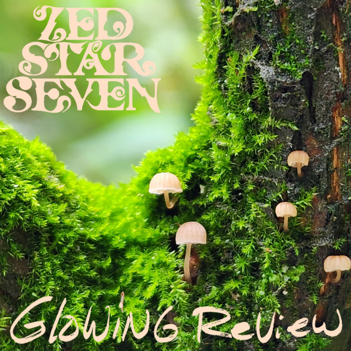 Glowing Review | Zed Star Seven