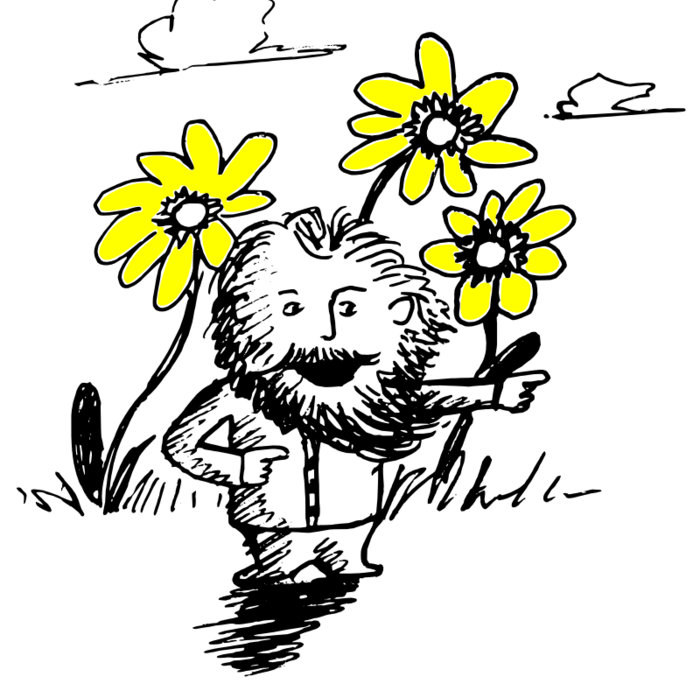 Victorian Resistance | The Pip-Beards