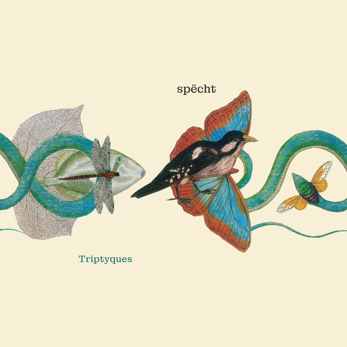 Triptyques | spëcht