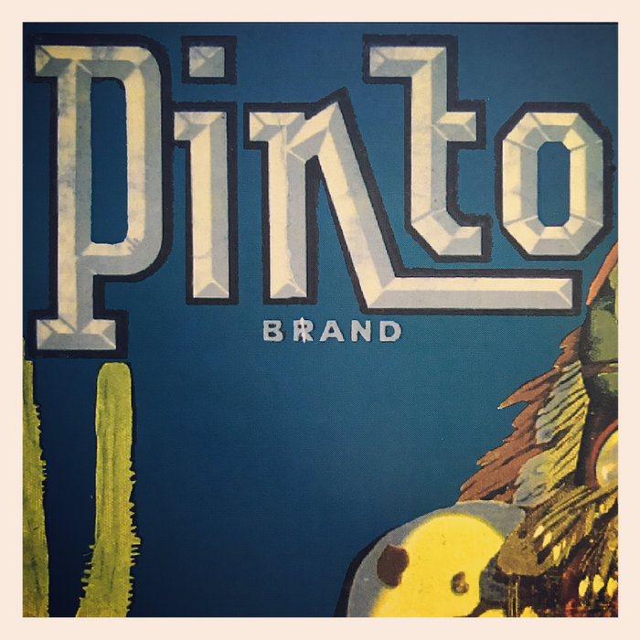 Pinto | Pinto