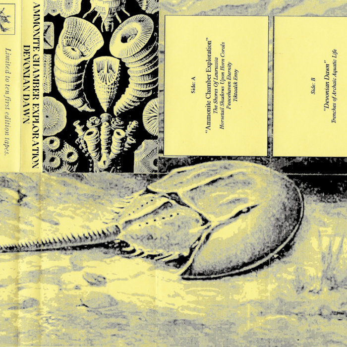 (s/t) Split | Ammonite Chamber Exploration / Devonian Dawn | Lost Armor
