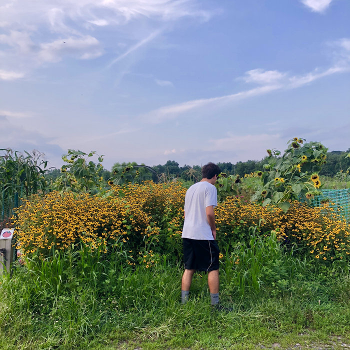 Hope | Nick Sylvestro