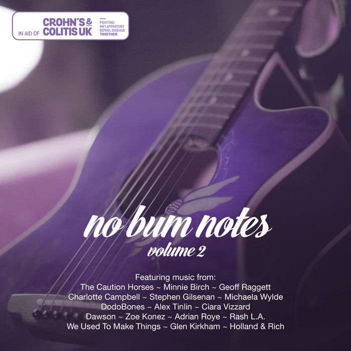 No Bum Notes (Volume 2) | Various Artists | Aid 4 Crohn's & Colitis UK