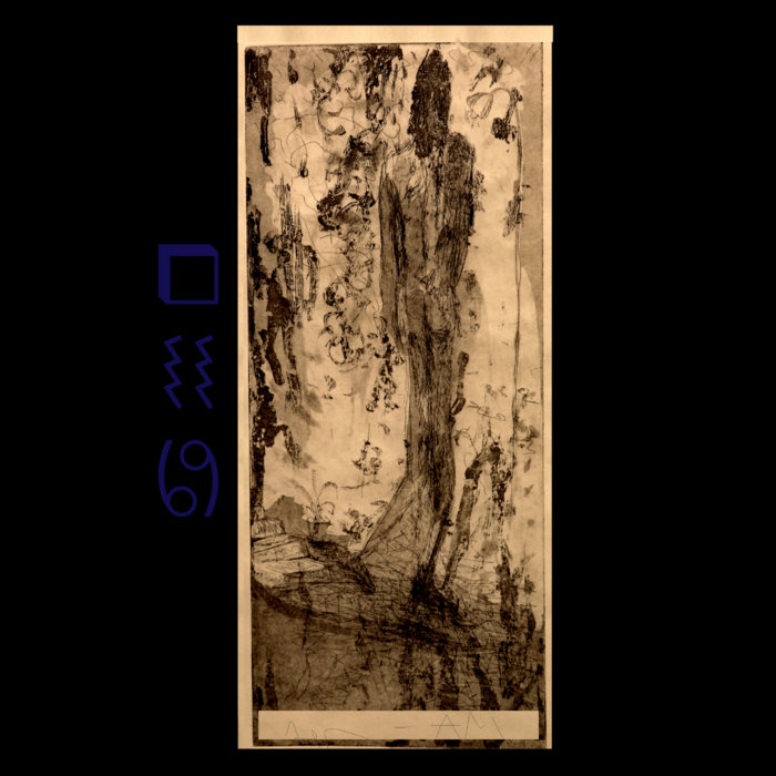 LOWER LIGHT SHADOW | Avishag Cohen Rodrigues