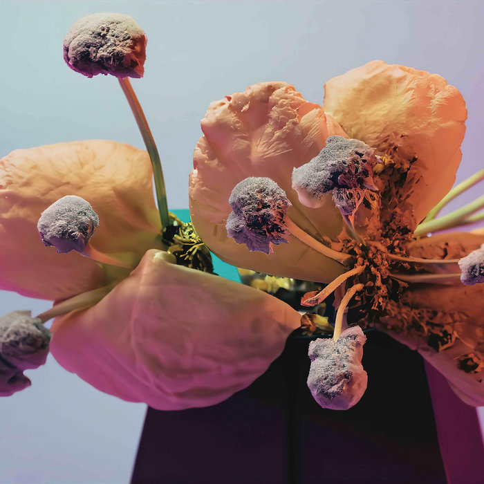 Compilation CJA 04 | Criminal Justice Act