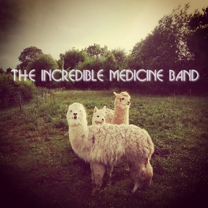 II (Original LP 2019) | The Incredible Medicine Band