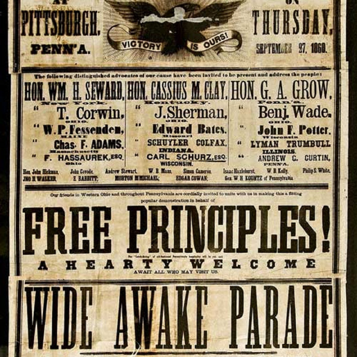 Wide Awake Parade | dimleaffall