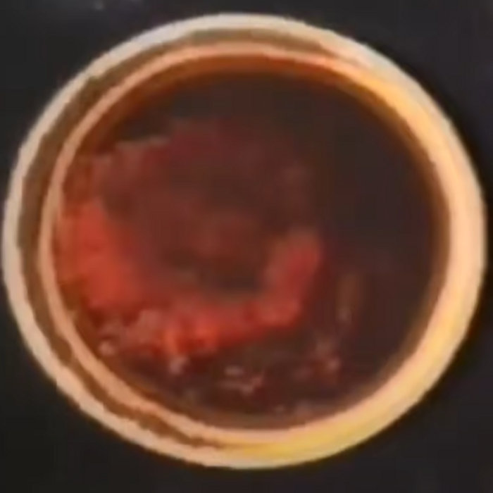 Our First Real Broadcast | Public Broadcasting Provisionaries