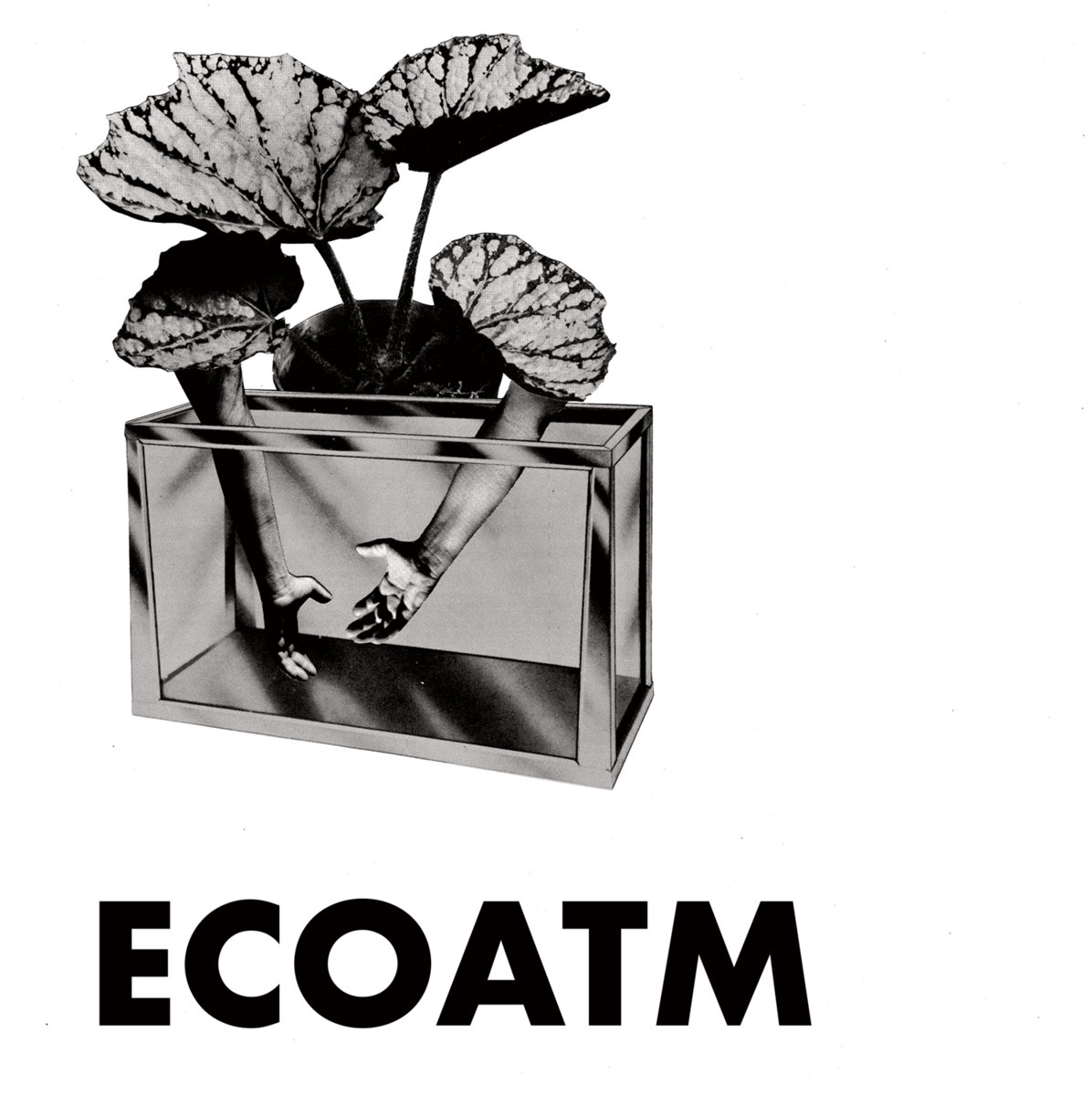 ECOATM | ECOATM | Fred Thomas