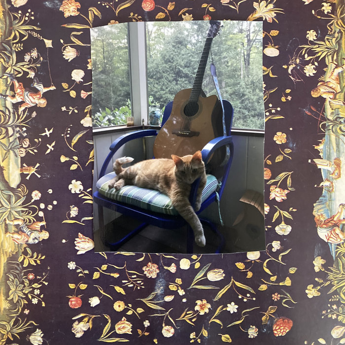 MY DEAD CAT | LAST AMERICAN HEROES