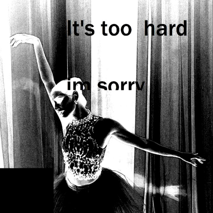It's Too Hard | HARUKOzero