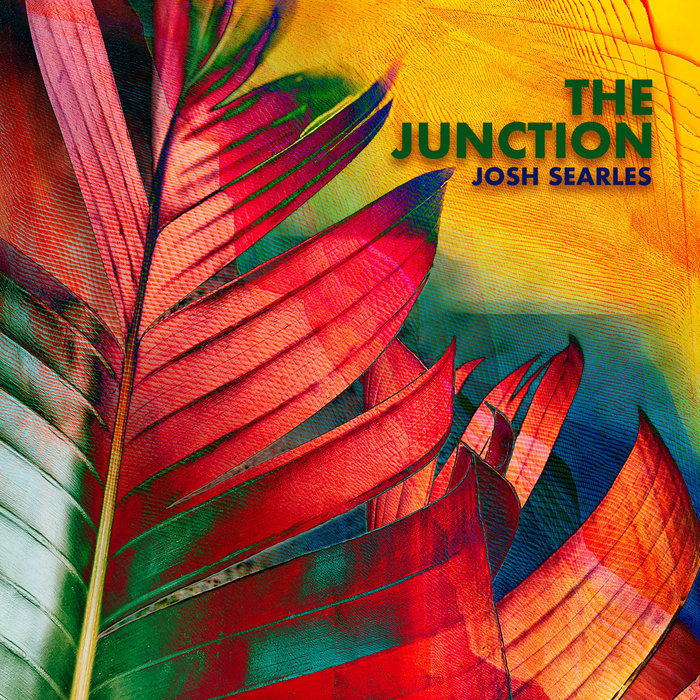 The Junction | Ghost Orchid