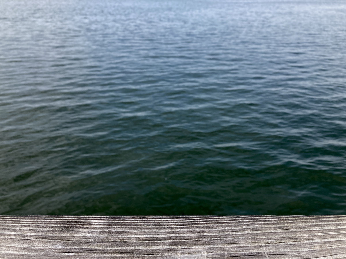 DeepSpace2 | Roger Haddad