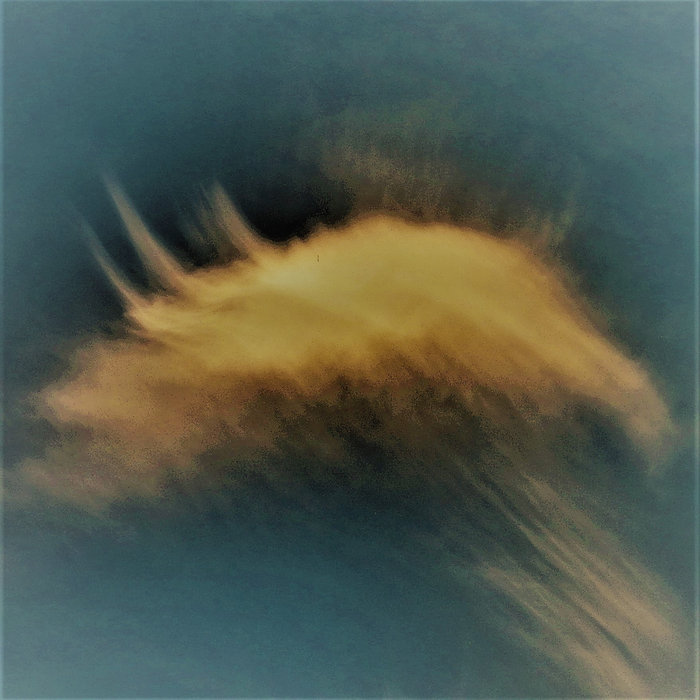 UNTITLED ALBUM | THE SPERMACETI ORGAN