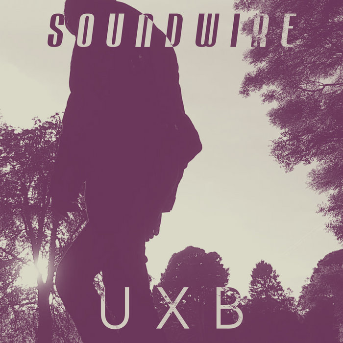 UXB | Soundwire