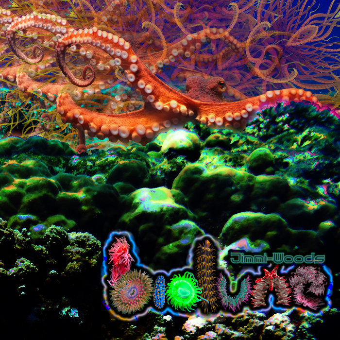 Biolume | Jimmi-Woods | Slice Records