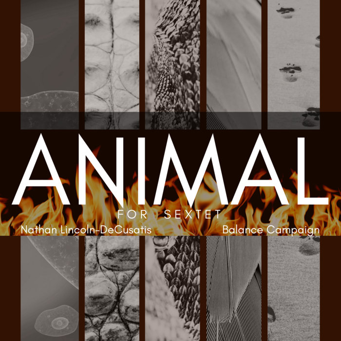 ANIMAL for sextet | Balance Campaign, Nathan Lincoln De-Cusatis ...