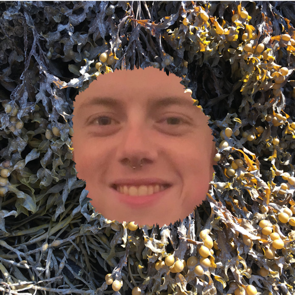 Cranked | Henry Raker