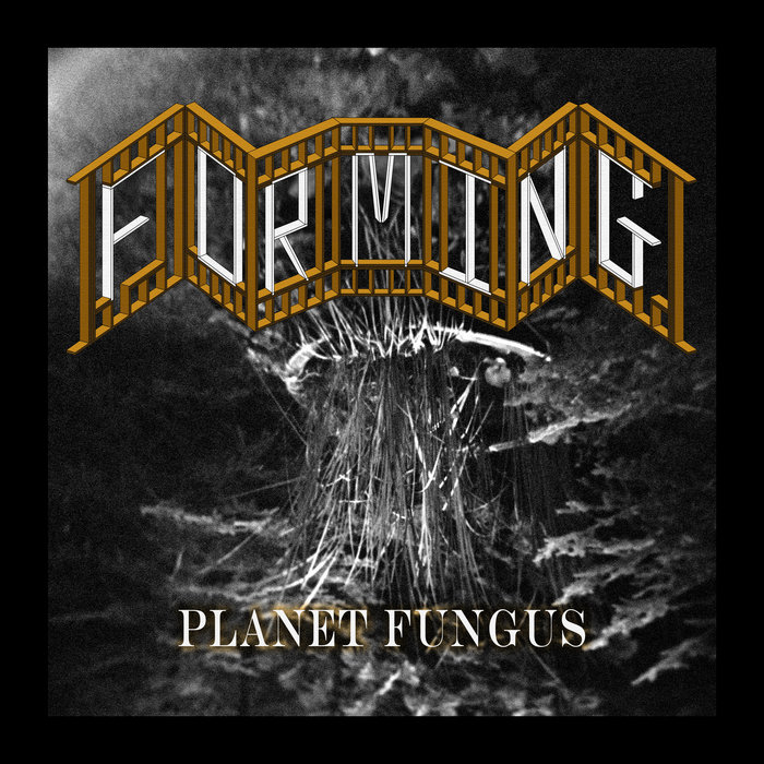 Planet Fungus | FORMING