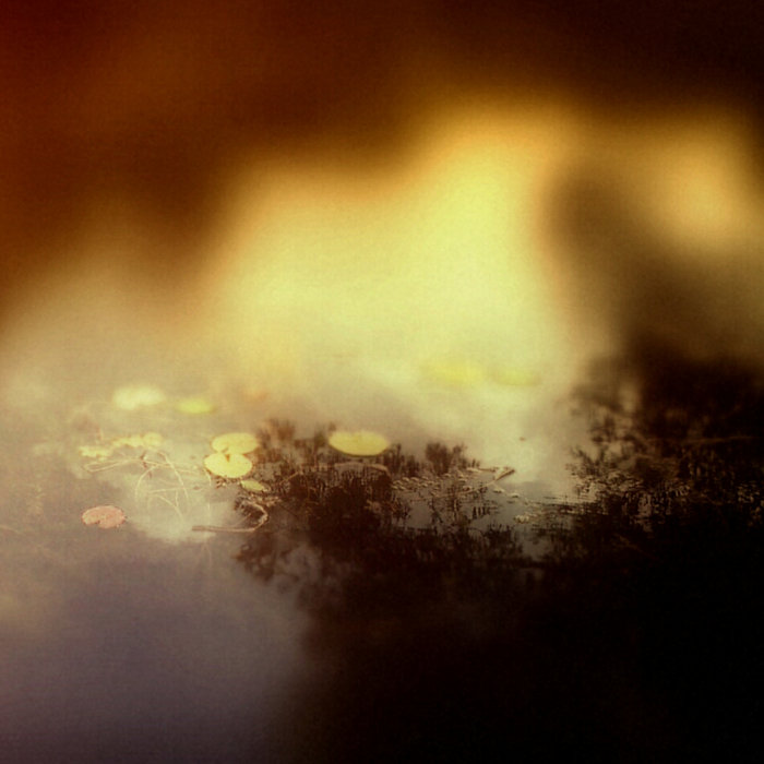 The Sheltering Sky | 光淵 (Pool Of Light)