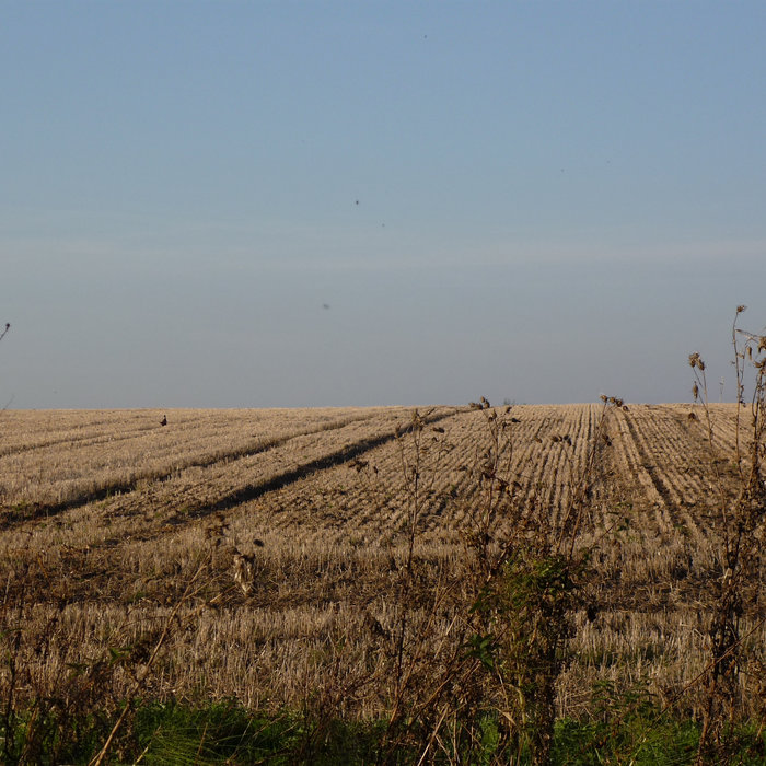 for nigel glynn davies (RIP) | piano nige | for nigel glynn davis RIP
