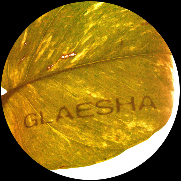 Memory Implant | glaesha