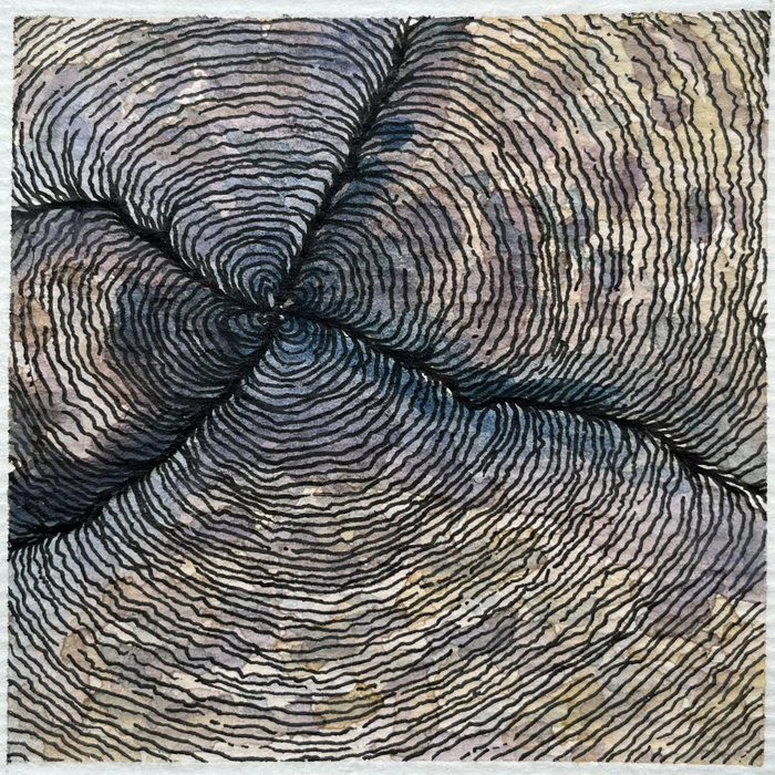 The process of collecting wood | HDOD